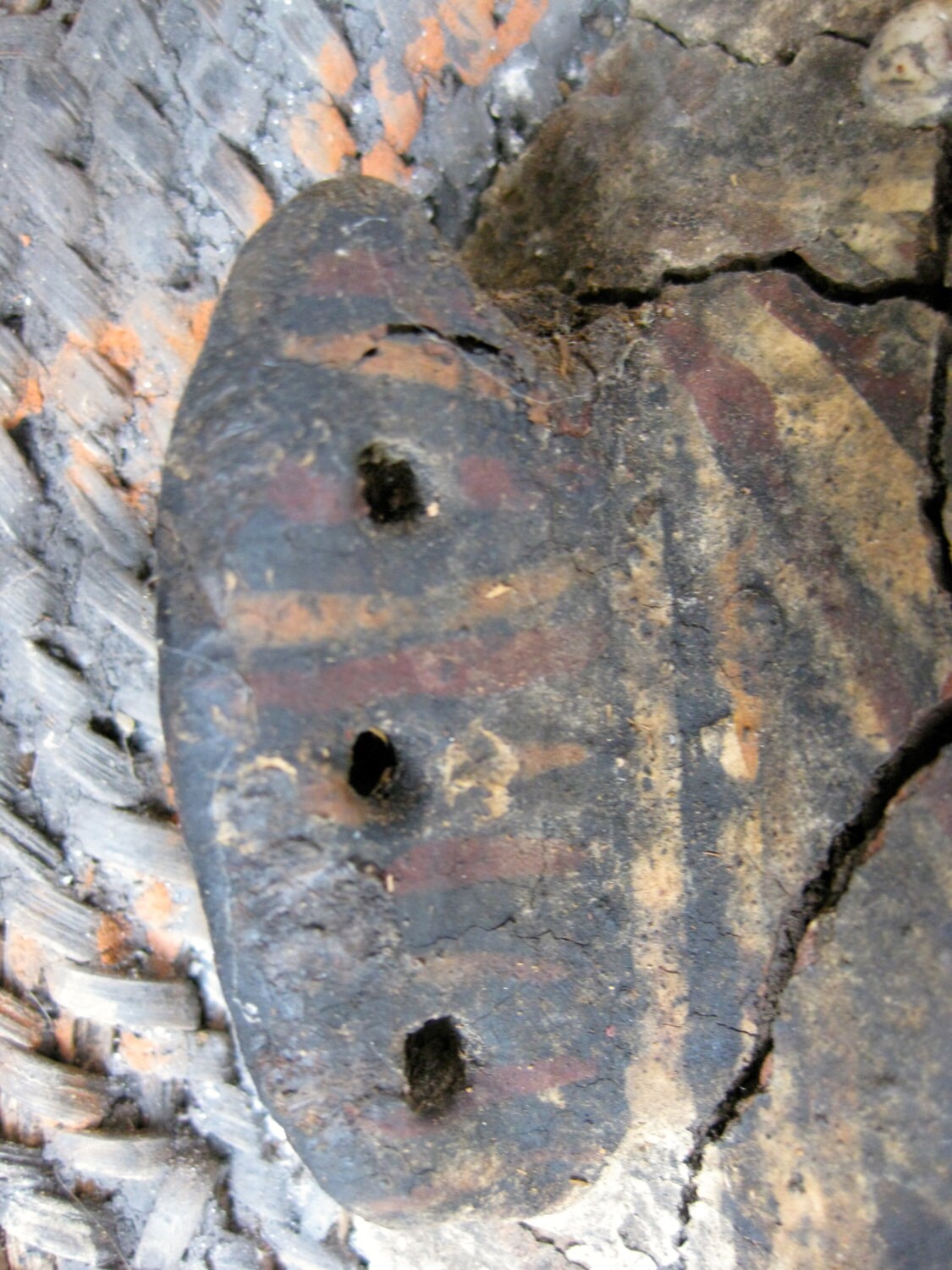 New Guinea Tribal Artifact of Ancestral Shell Mask From the - Etsy