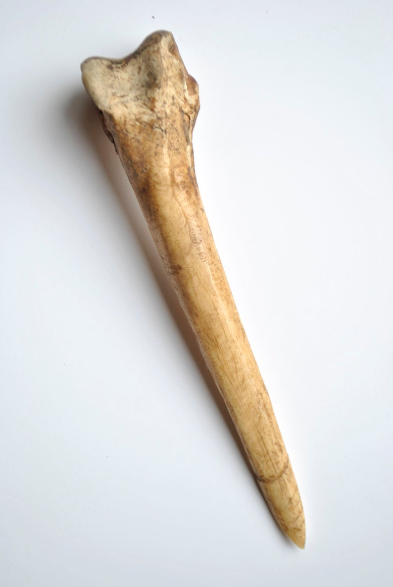 New Guinea Asmat Cassowary Bone Dagger Artifact From the Irian Jaya ...