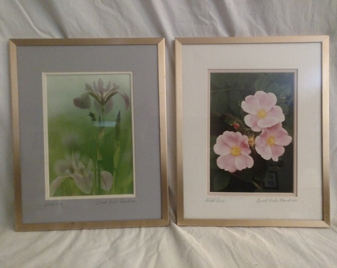 Pair of Signed Carol Rahr Haubner Framed Matted Prints 'wild Rose ...