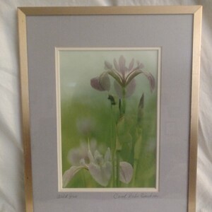 Pair of Signed Carol Rahr Haubner Framed Matted Prints | Etsy