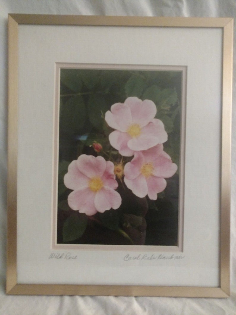 Pair of Signed Carol Rahr Haubner Framed Matted Prints | Etsy