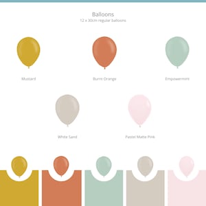 Sorbet Sunset Balloon Bunch, 12 Pack 30cm Latex Balloons, Pastel Party ...