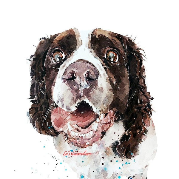 Springer Spaniel Art - Etsy