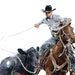 Cattle Roping Cowboy ." Original Watercolour A2 (24*19 Inches). Cowboy ...