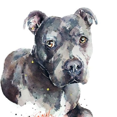 Staffordshire Bull Terrier Print Staffie Staffy - Etsy UK