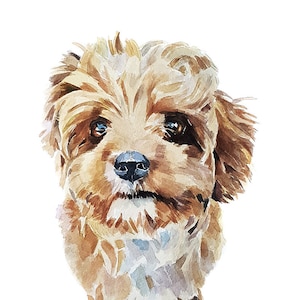 Cavoodle/ Cavapoo. Print Watercolour.cavapoo Artcavapoo | Etsy UK