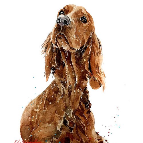 Red Setter Ii Print Watercolour. Irish Setter - Etsy UK