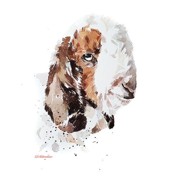 Goat Print - Etsy UK