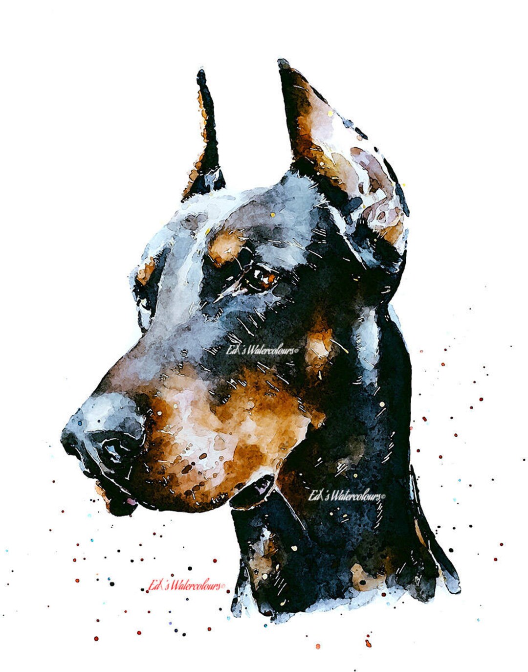 Doberman" Print Watercolour.doberman Art,doberman Print,doberman ...
