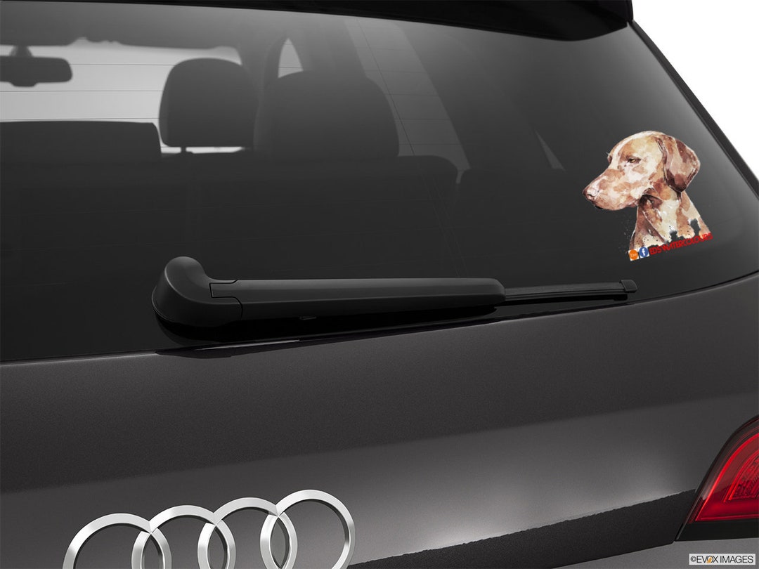 Vizsla Car Sticker - 25x25 Cm(10x10 Inches) - Etsy