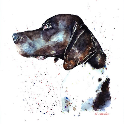 That German Shorthaired Pointer Look GSP Print - Etsy