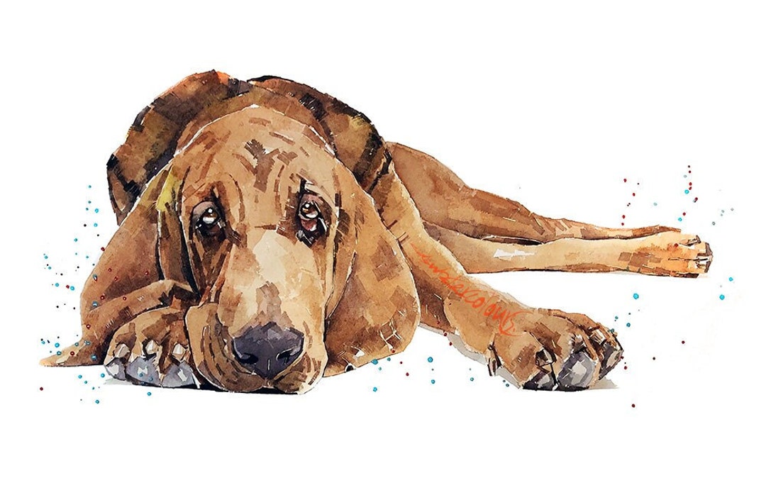Bloodhound Reclined " Original Watercolour (16*20 Inches).bloodhound ...