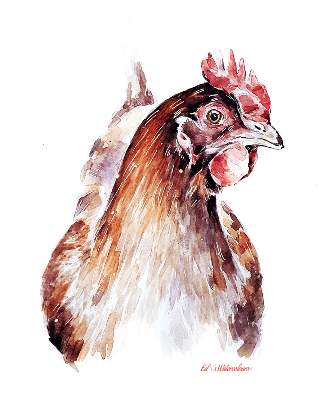 Lil Red- Watercolour Print.chicken Art, Chicken Print, Chicken Wall ...