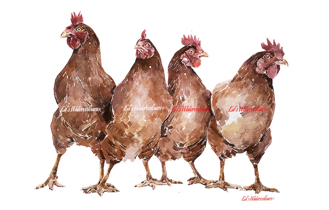 The Last Stand - Hens - Watercolour Print.chicken Art, Chicken Print ...
