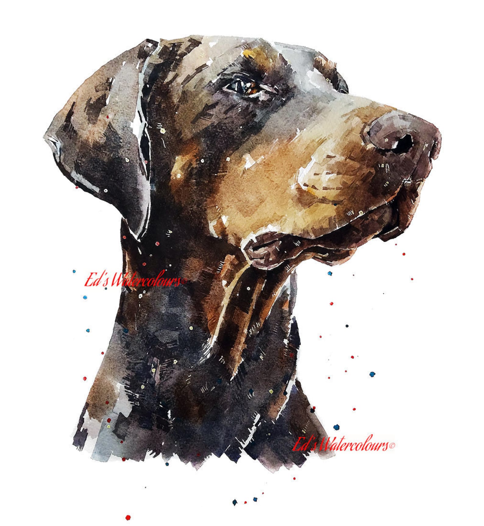 Brown Doberman Print Watercolour. Brown Doberman - Etsy 日本