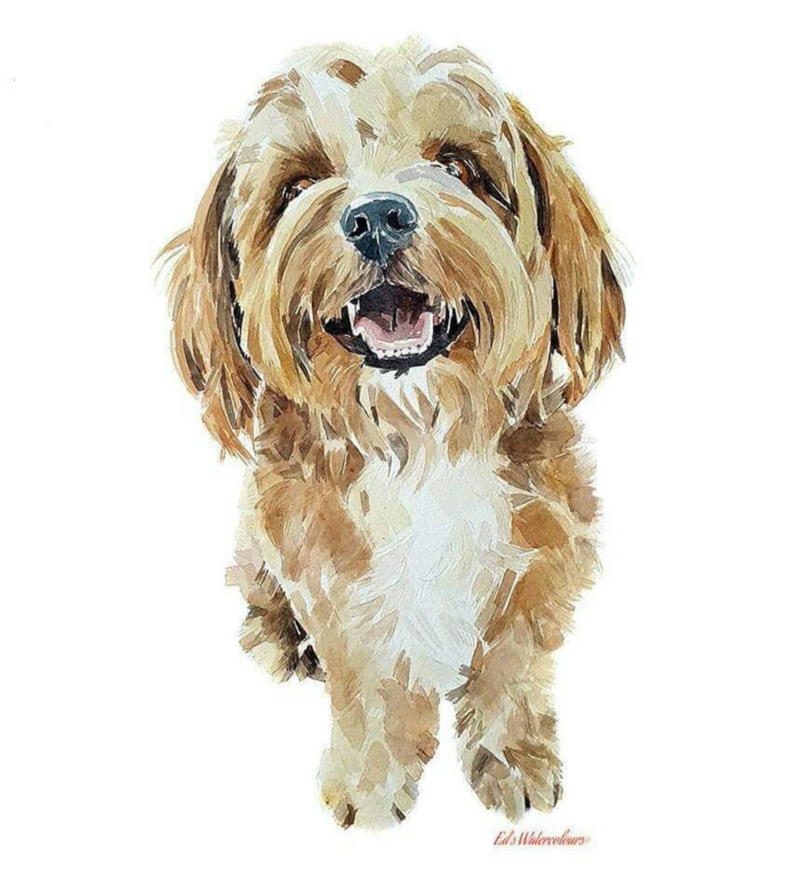 Cavoodle/ Cavapoo Pomp. Print Watercolour.cavapoo Art,cavapoo Print ...