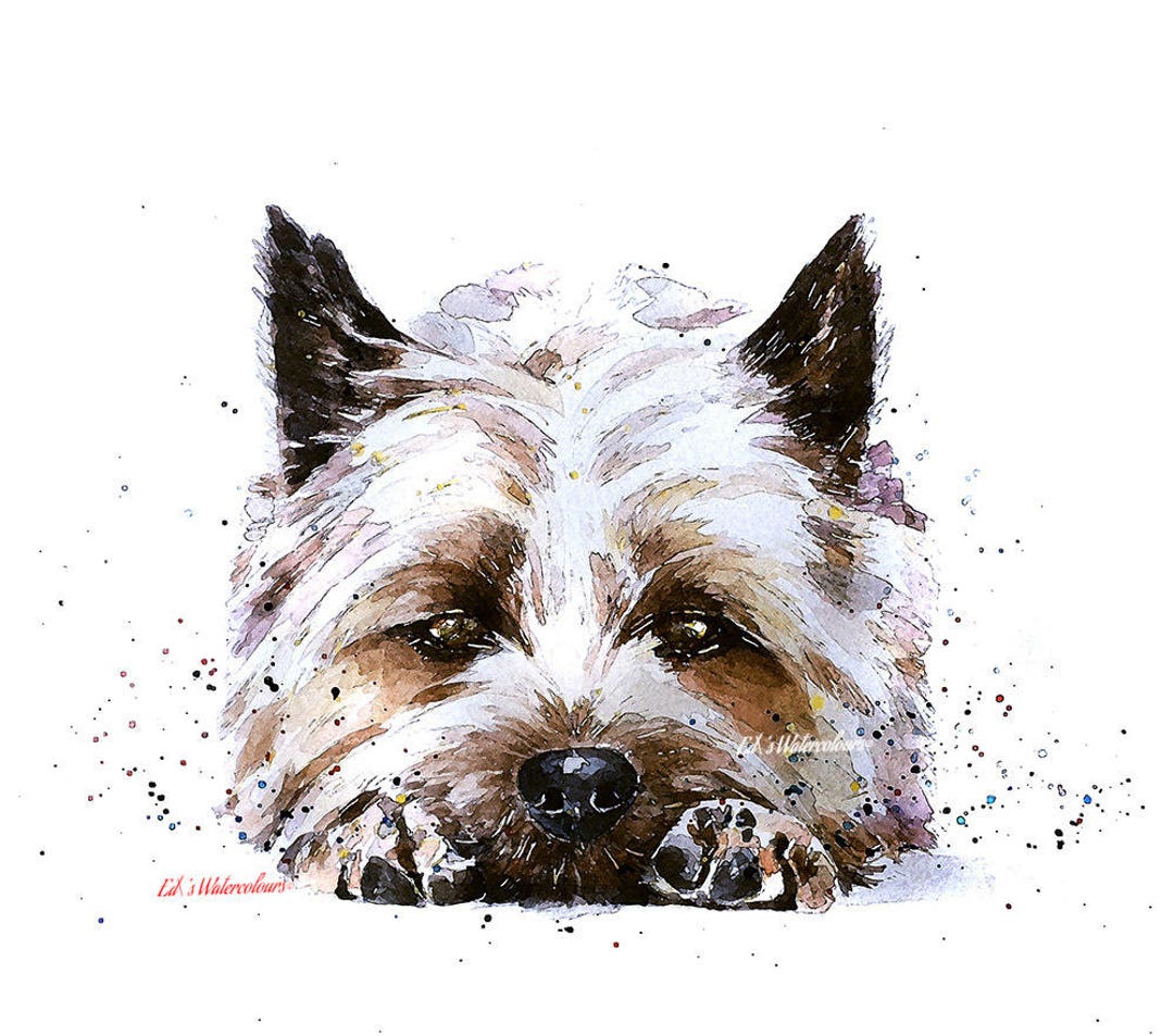 Cairn Terrier 2" Print Watercolour. Cairn Terrier Art,cairn Terrier ...