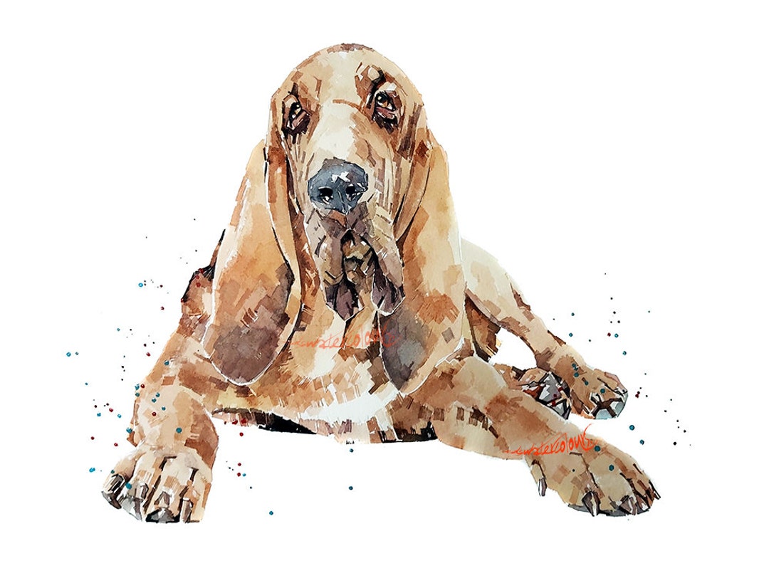 Bloodhound Soulful" Original Watercolour (16*20 Inches).bloodhound Art ...