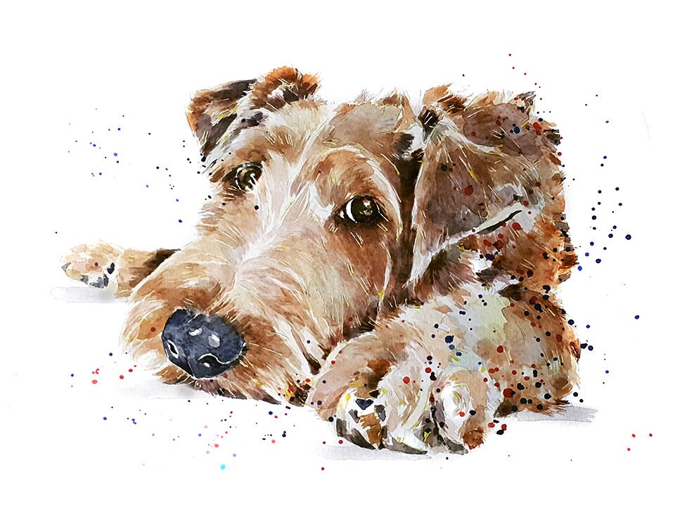Irish Terrier | Dog Art Print | Edswatercolours - Etsy UK