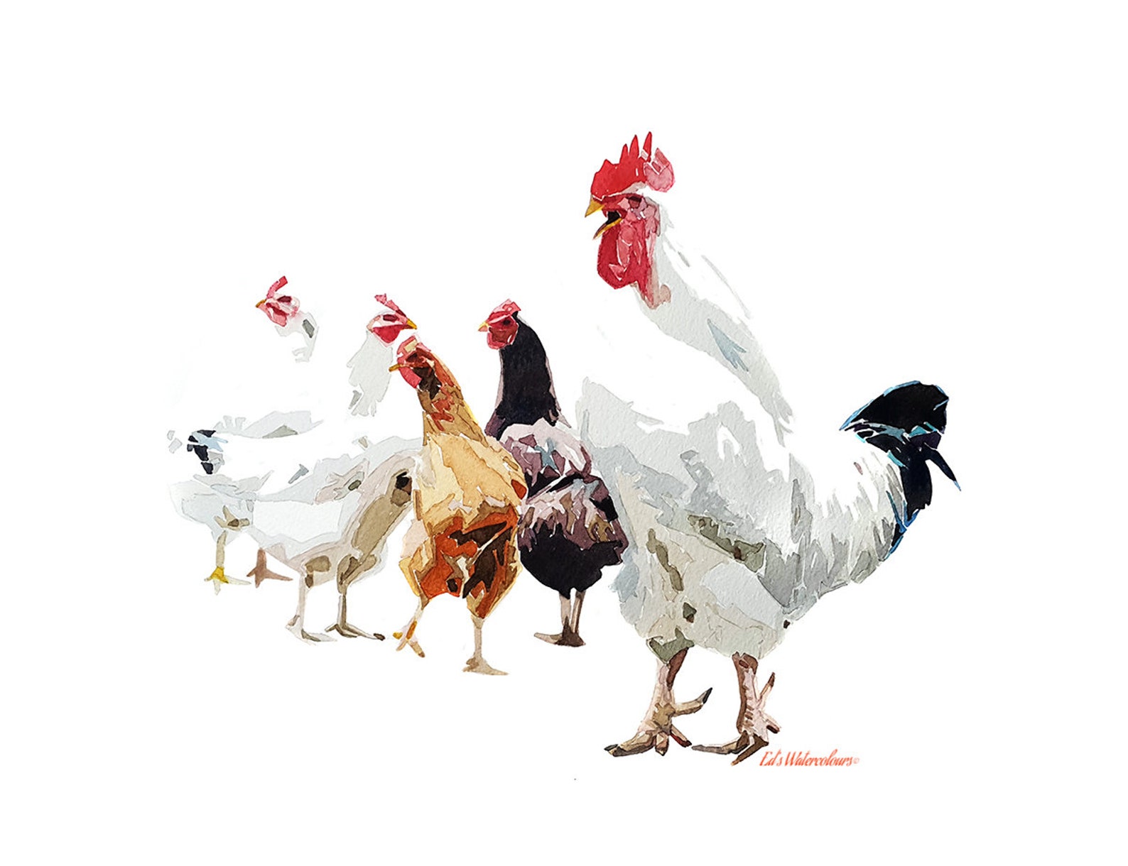 Chickens Watercolour Print.chicken Art Chicken Print - Etsy