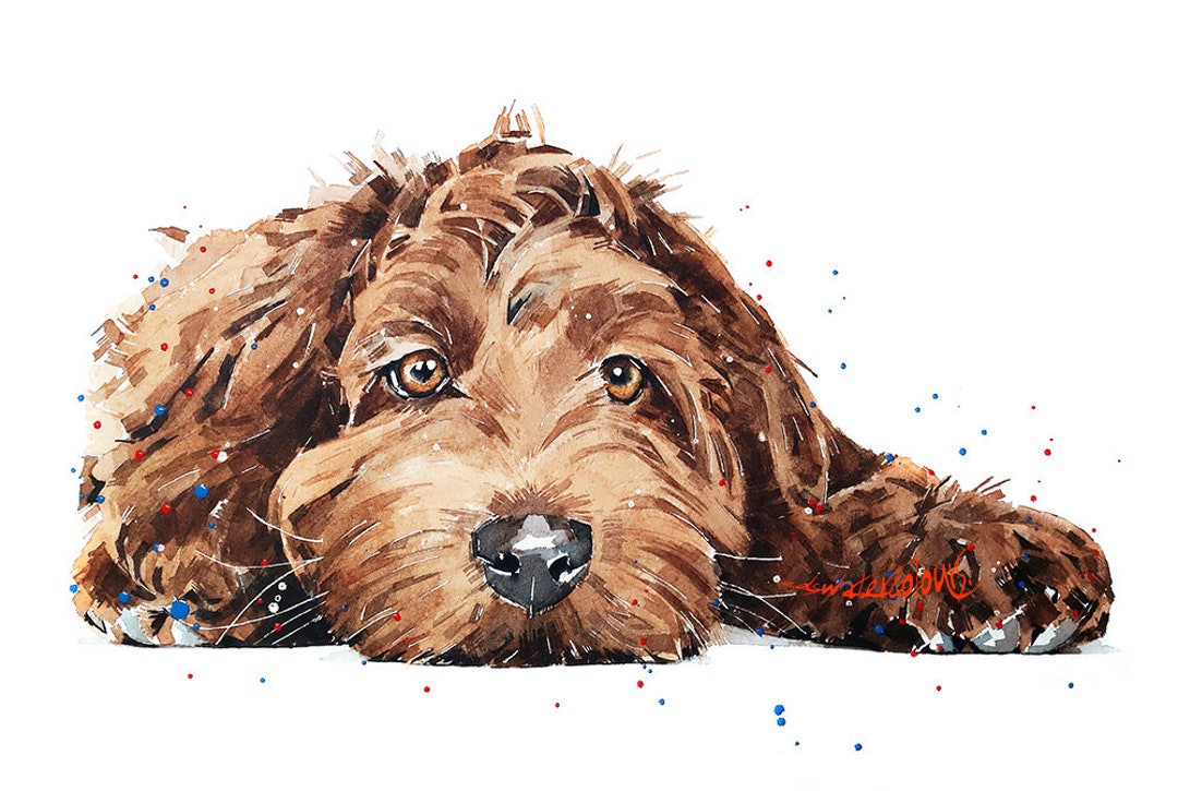 Labradoodle Passed Out - Watercolour Print.labradoodle Art,labradoodle ...