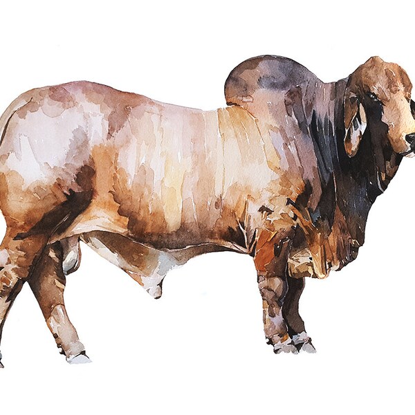 Brahman - Etsy