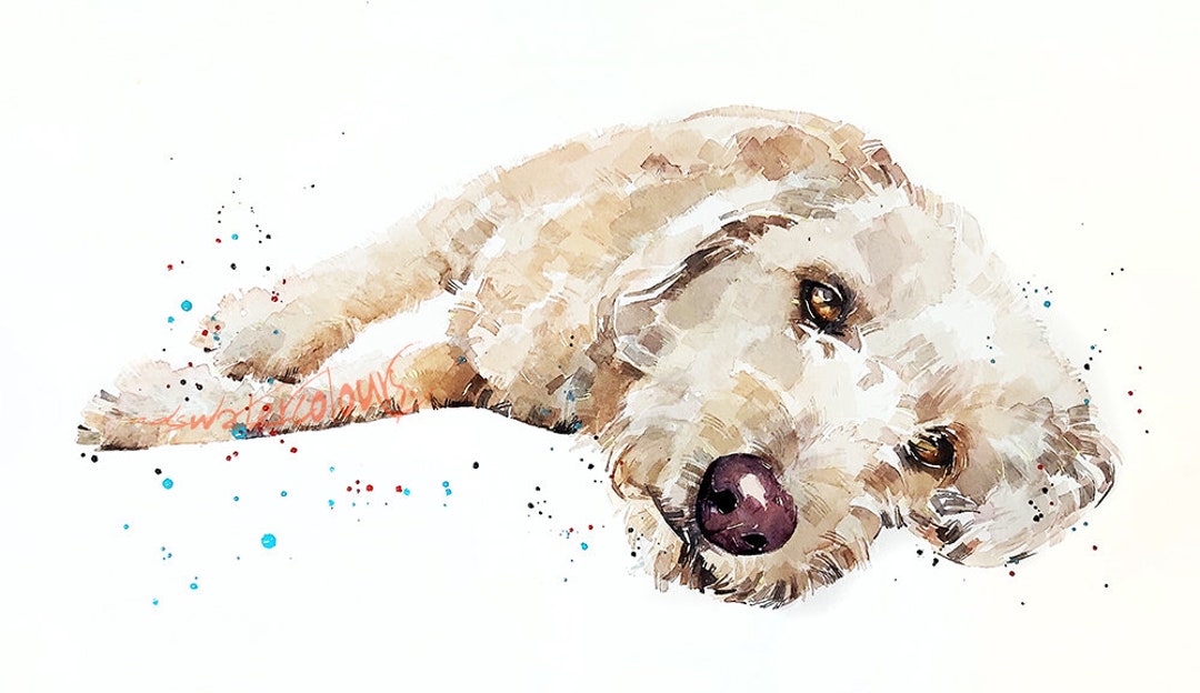 Labradoodle Reclined . Print Watercolour. Labradoodle Watercolor ...