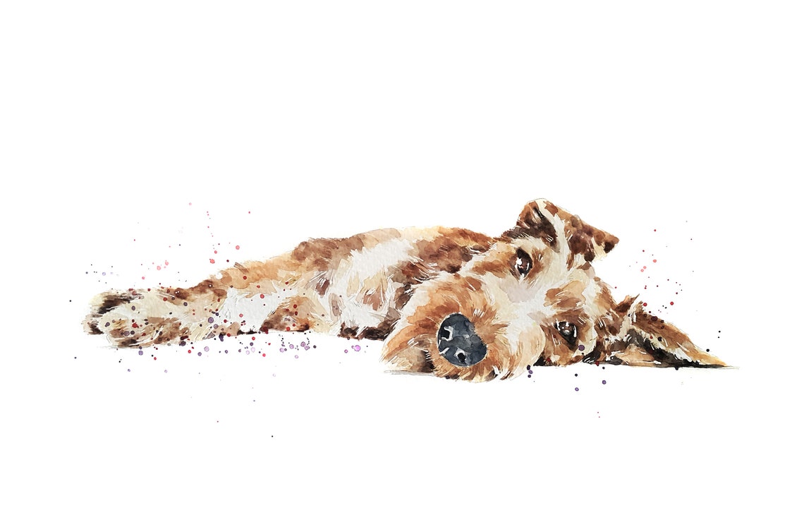 Irish Terrier Car Sticker - 40cm*10cm/16 Inches X 4 Inches - Etsy