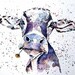 Young Cowboy and Brahman Cow . Print Watercolour.brahman Cow Art ...