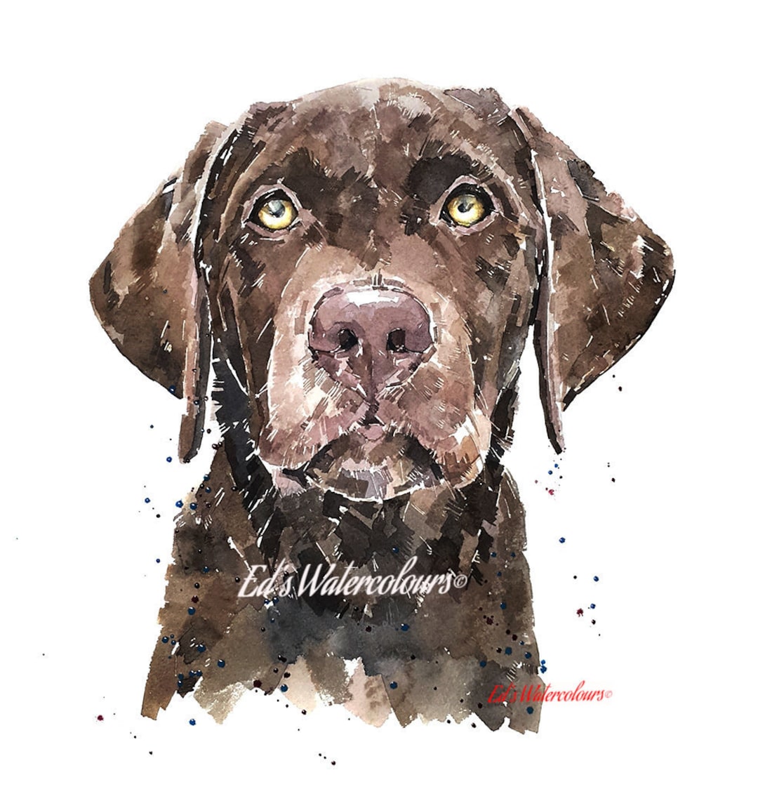 Labradorable " Print Watercolour. Labrador Art, Labrador Watercolor ...