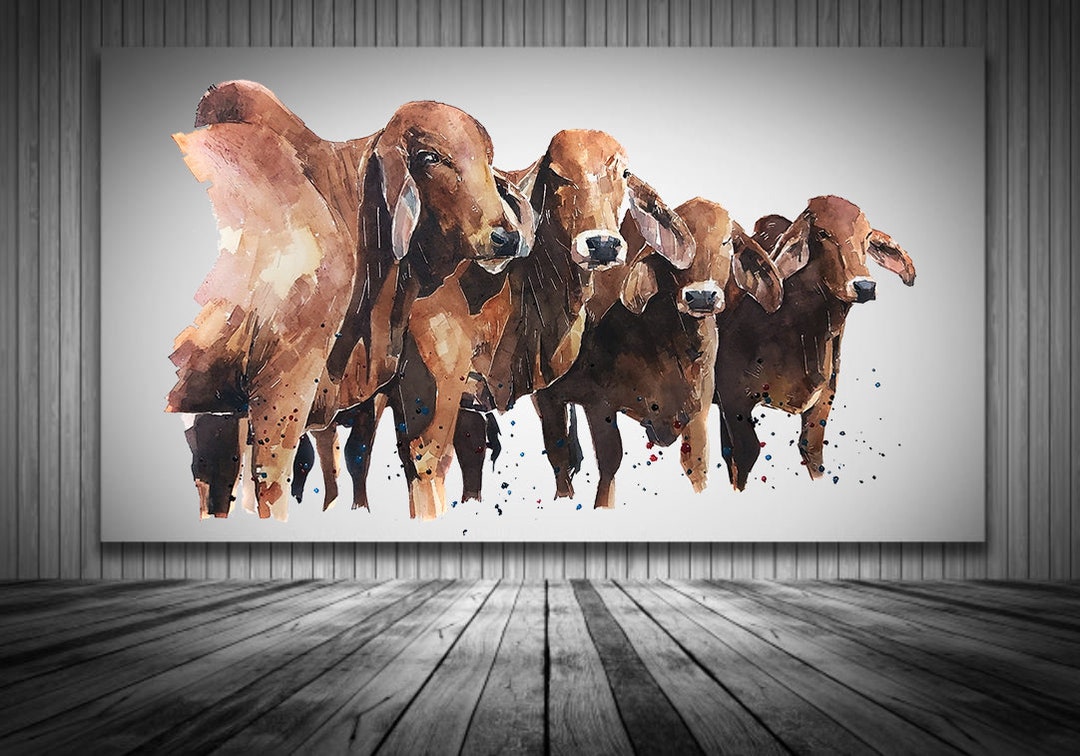 Brahman Cattle Watercolour Canvas Print. Brahman Cattle Canvas,brahman ...