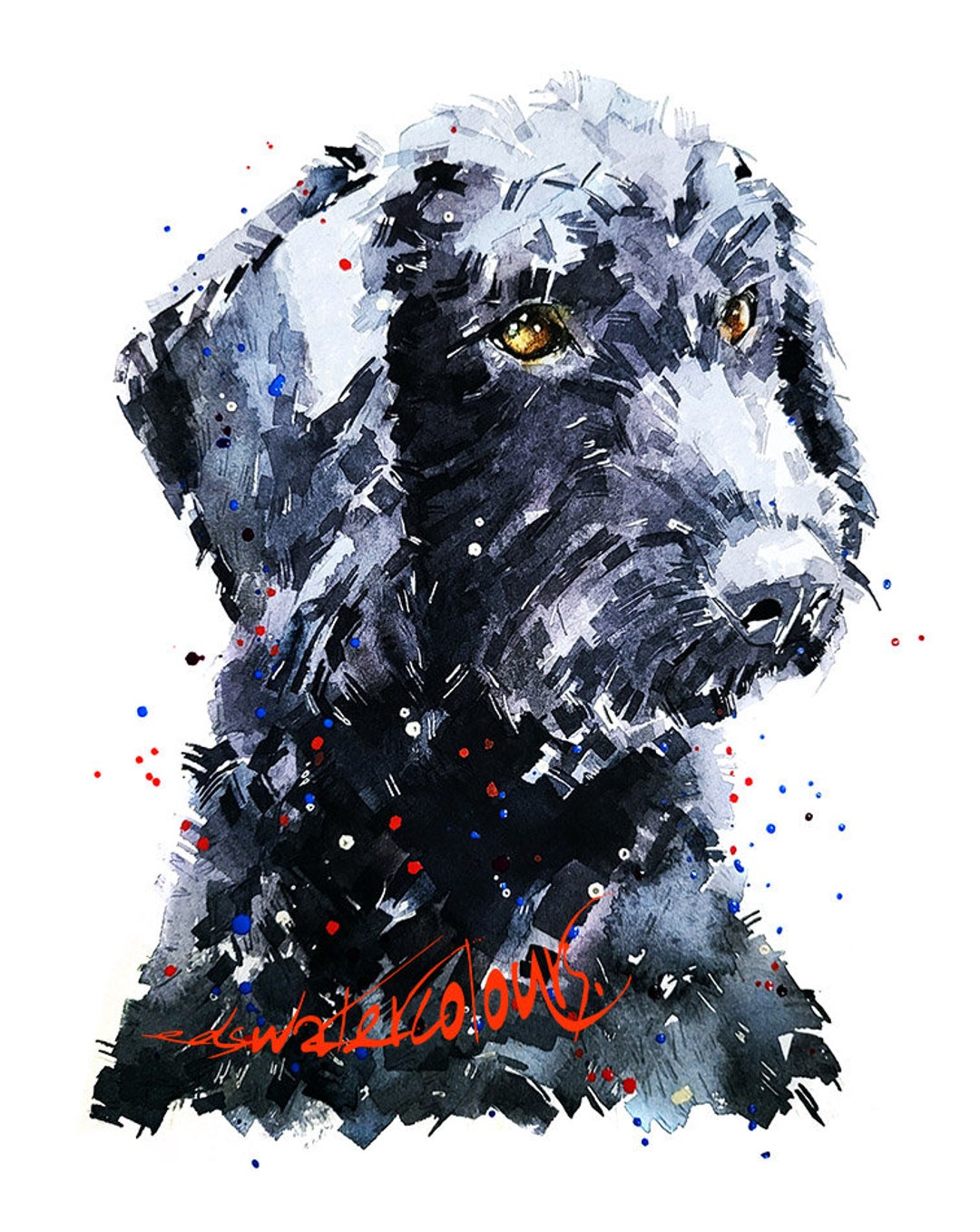 Black Labradoodle Poised ." Print Watercolour. Labradoodle Watercolor ...