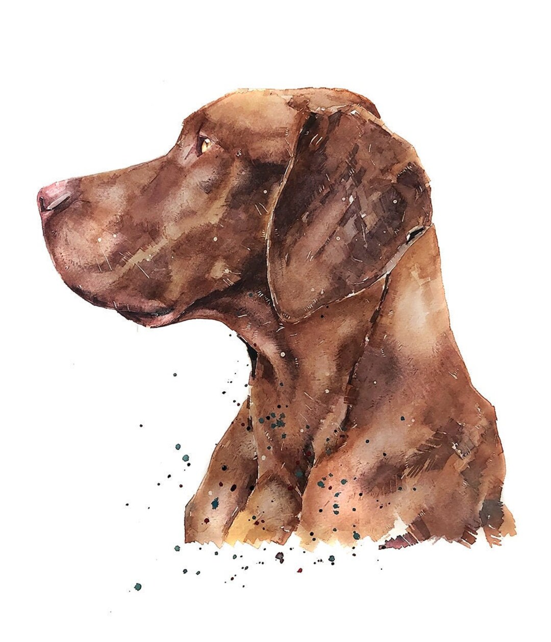 Vizsla - the Thinker " Original Watercolour A2 (40x50cm/16*24 Inches ...