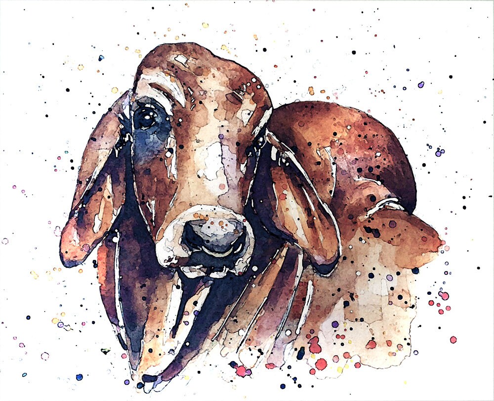 Brahman Red Print Watercolour.Brahman art,Brahman print, Brahman ...