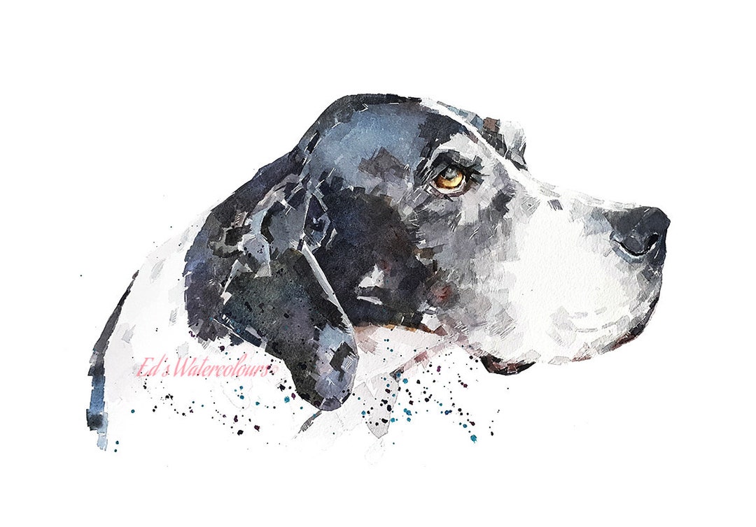 English Pointer - Print Watercolour.english Pointer Art Print,english ...