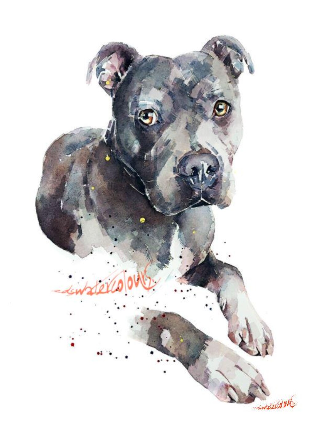Original Staffordshire Bull Terrier Watercolor | 16x20" Staffie Art by ...