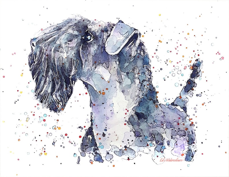 Kerry Blue - TRUE Blue." Print Watercolour.kerry Blue Terrier Art,kerry ...