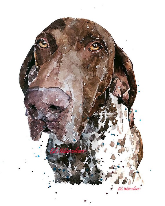 Buy German Shorthaired Pointer GSP DOG ART Print Of