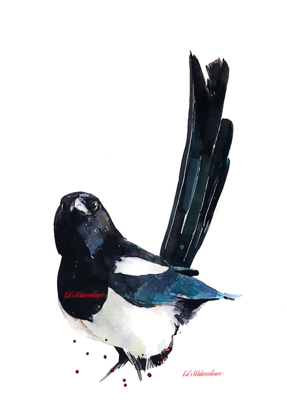 Magpie Watercolour PrintMagpie artMagpie | Etsy