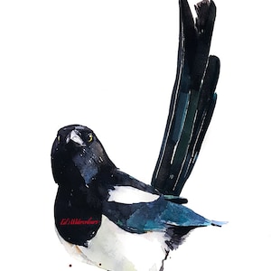 Magpie " Watercolour Print,magpie Art,magpie Watercolour,magpie ...