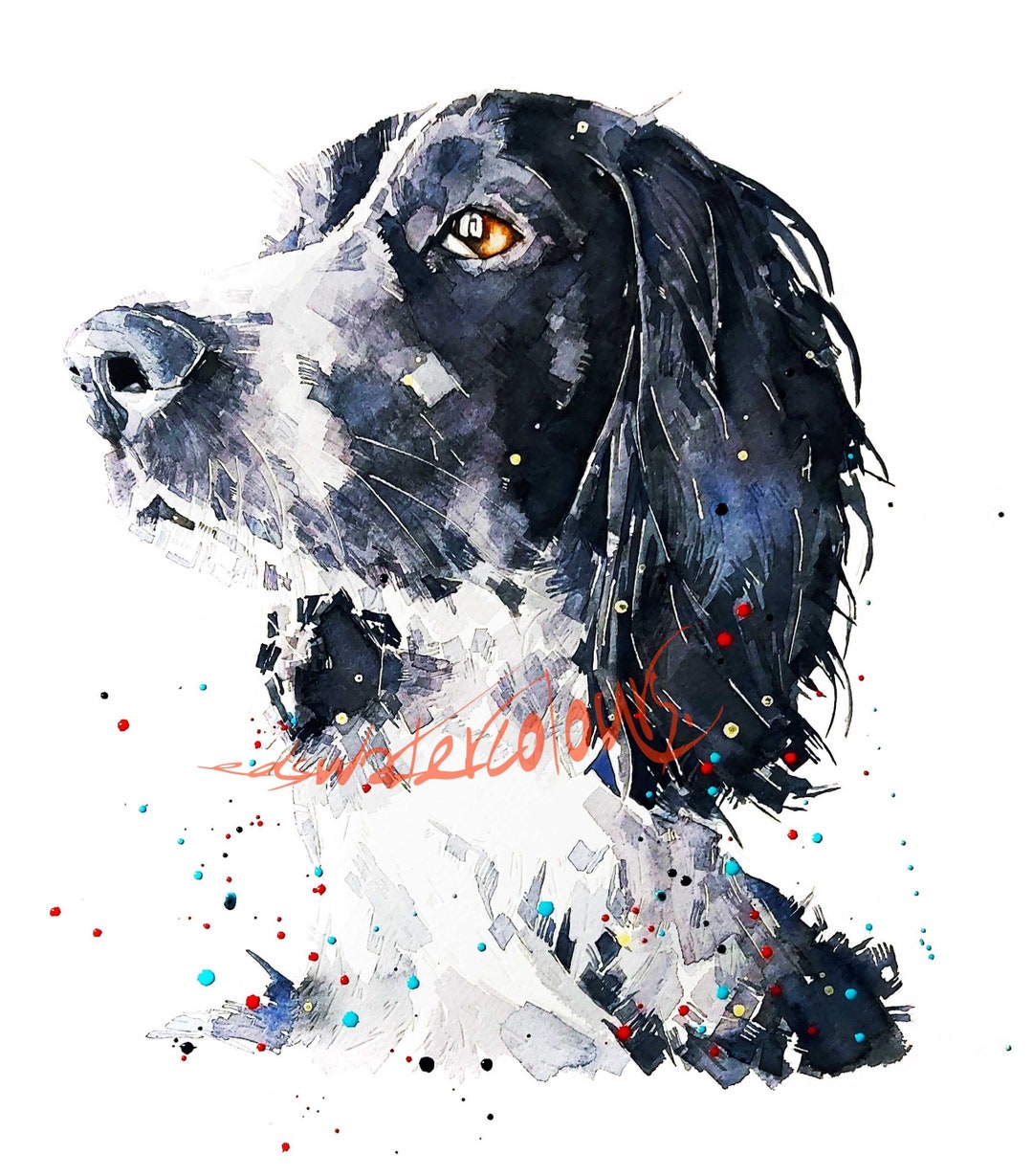 English Cocker Spaniel " Print Watercolour. Cocker Spaniel Art,cocker ...