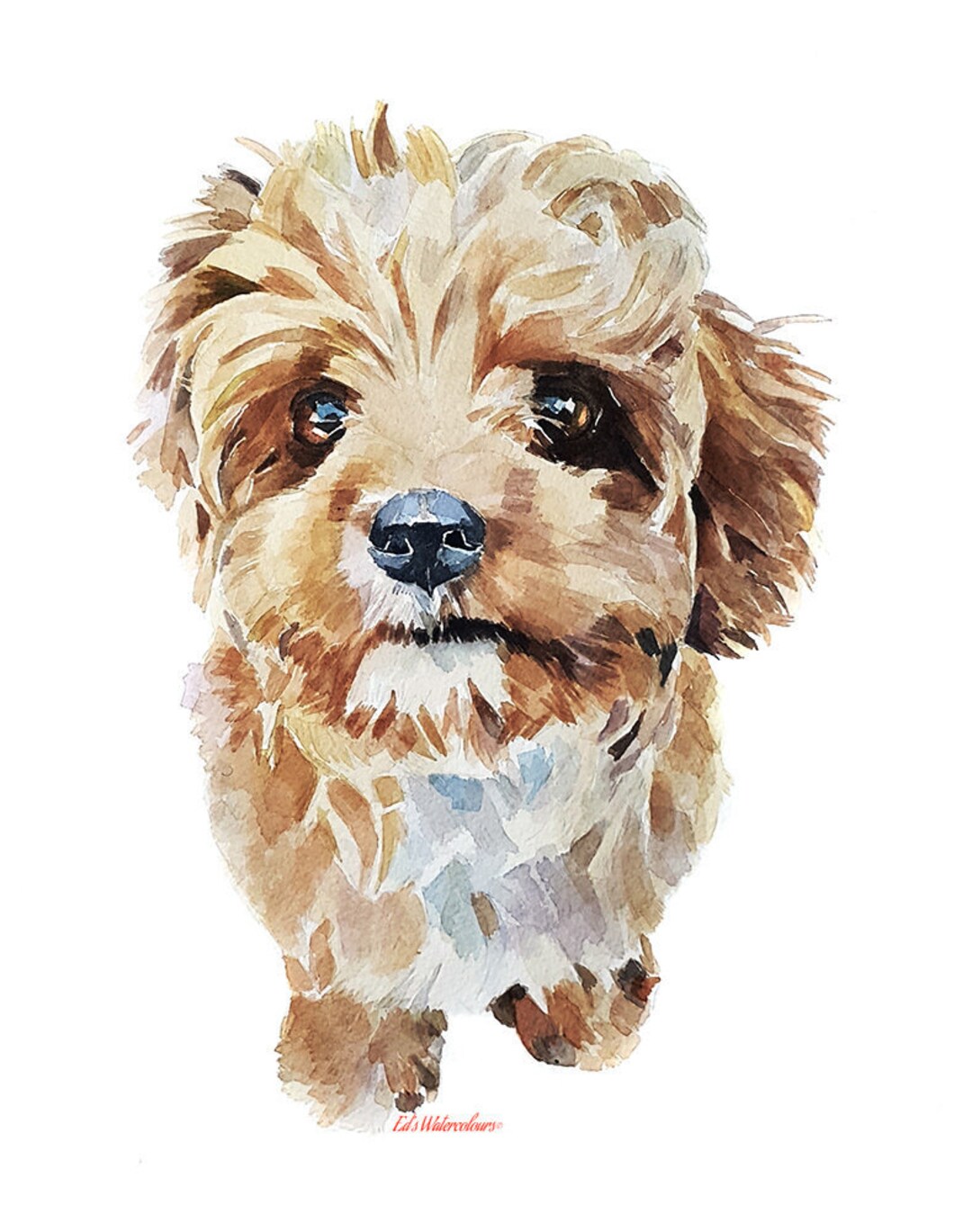 Cavoodle/ Cavapoo." Print Watercolour.cavapoo Art,cavapoo Print,cavapoo ...