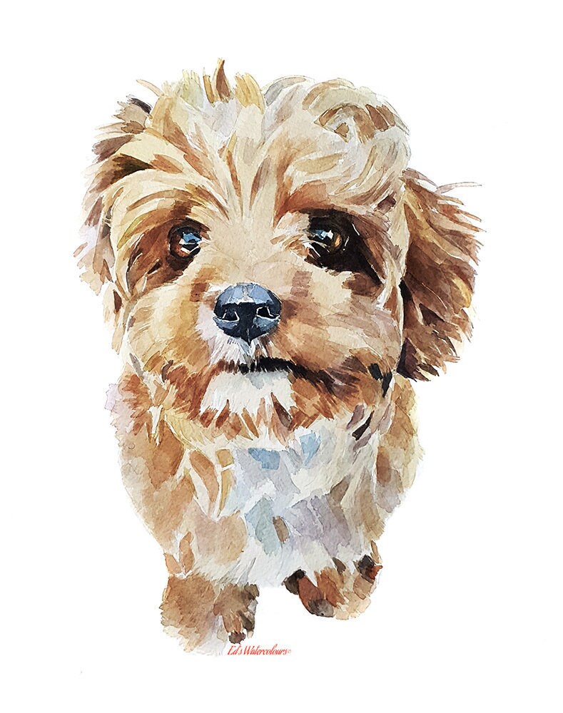 Cavoodle/ Cavapoo. Print Watercolour.cavapoo Art,cavapoo Print,cavapoo ...