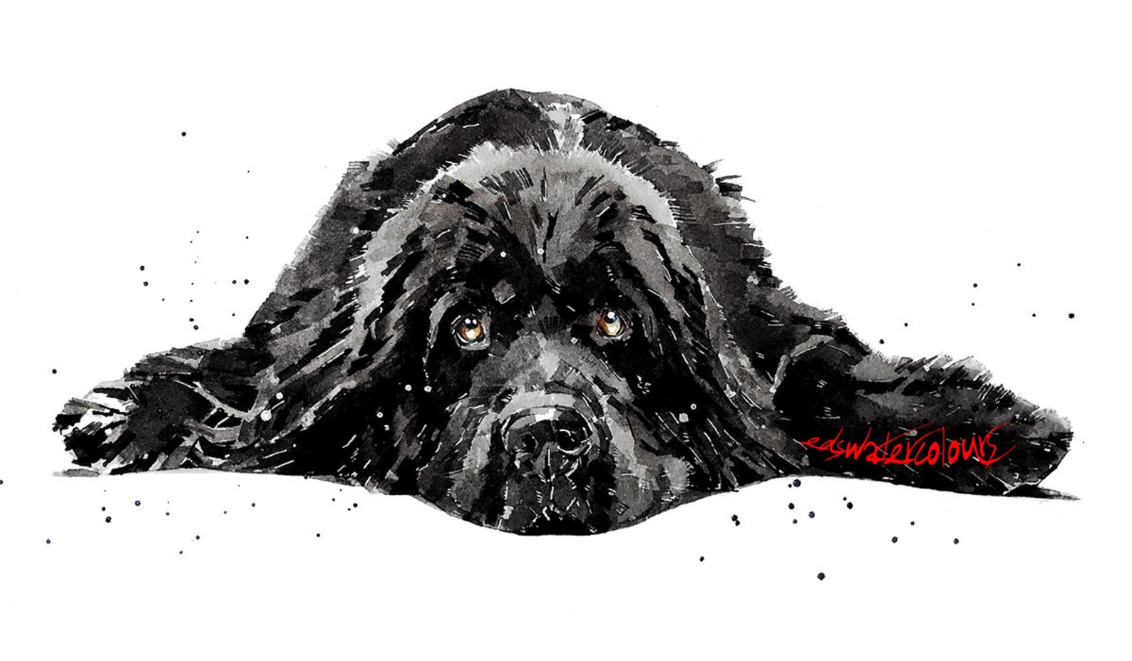 Black Newfoundland Dog - Print Watercolour. Newfie Dog Art ...