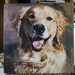Retrato de perro personalizado, retrato de mascota, pintura al óleo ...