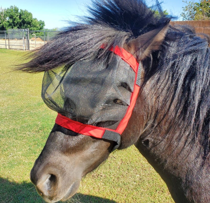 NEW Janet's Fly Mask for Horse Donkey Mule or Mini - Etsy
