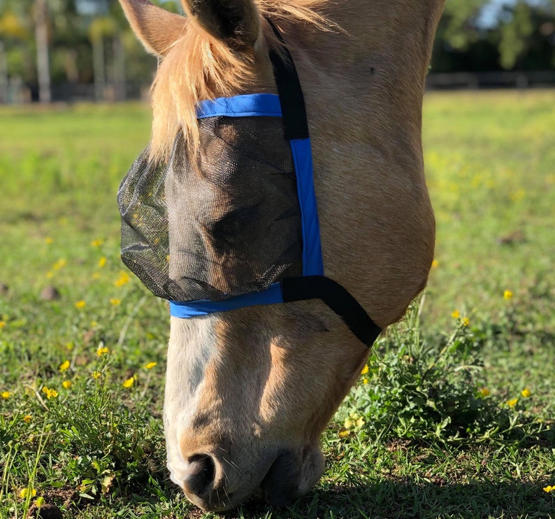 NEW Janet's Fly Mask for Horse Donkey Mule or Mini - Etsy