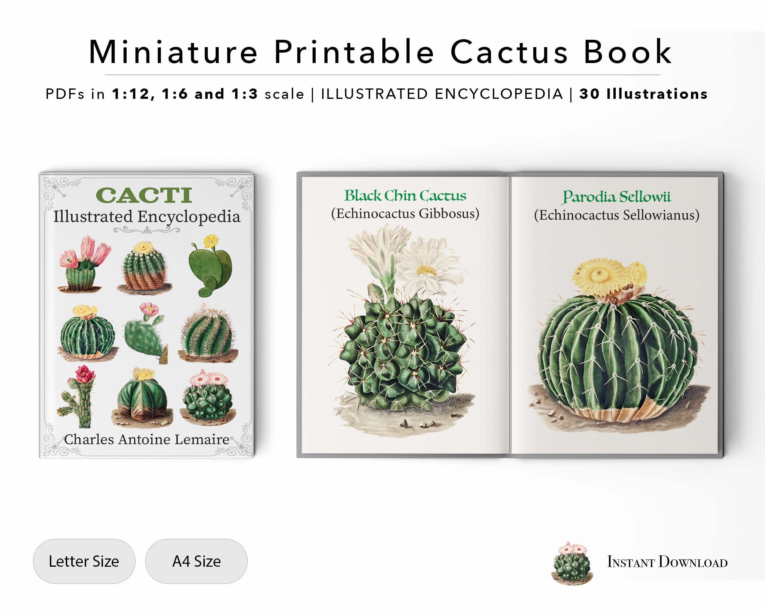 Printable Miniature Cacti Encyclopedia: Dollhouse Book (digital File ...