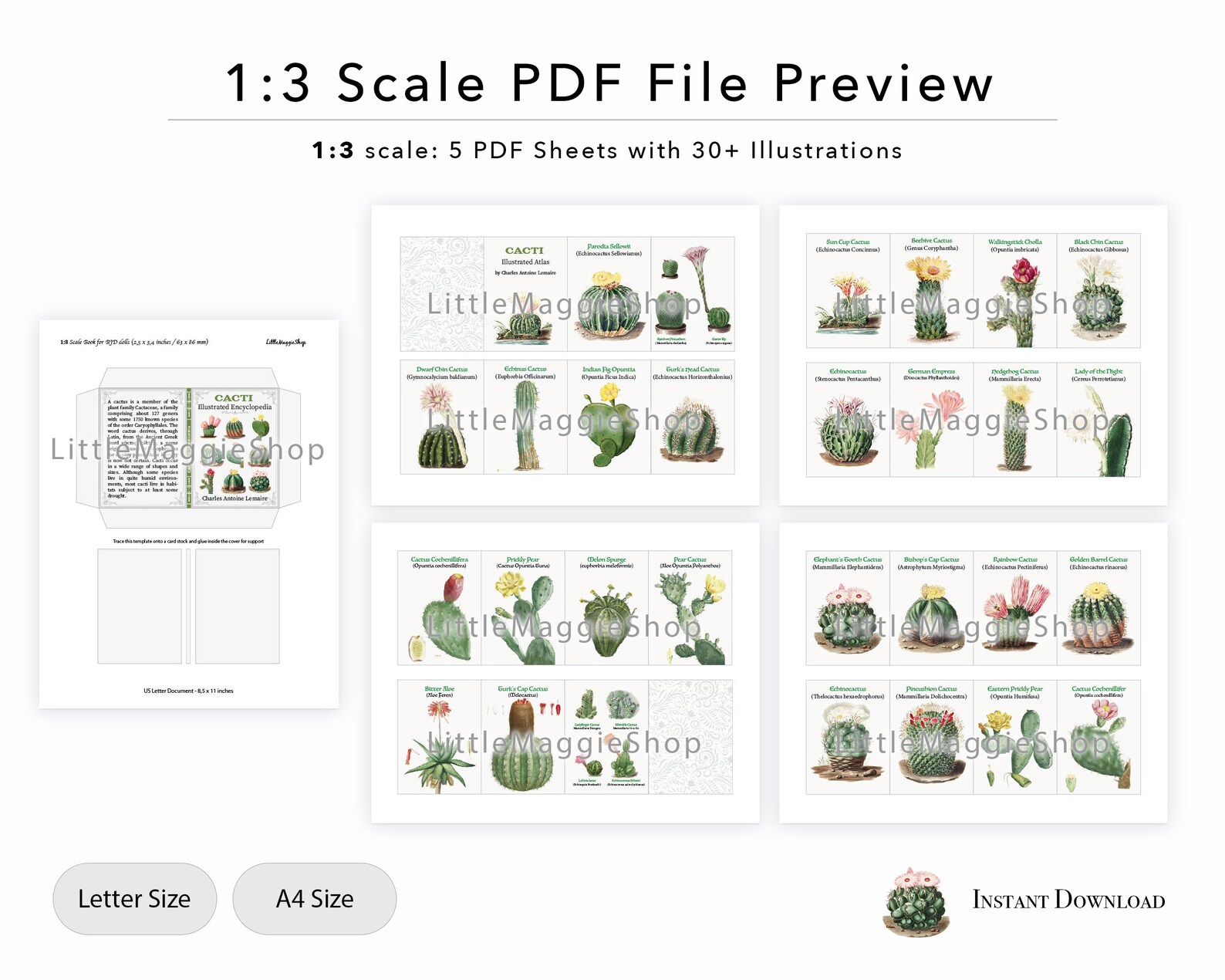Printable Miniature Cacti Encyclopedia: Dollhouse Book (digital File ...