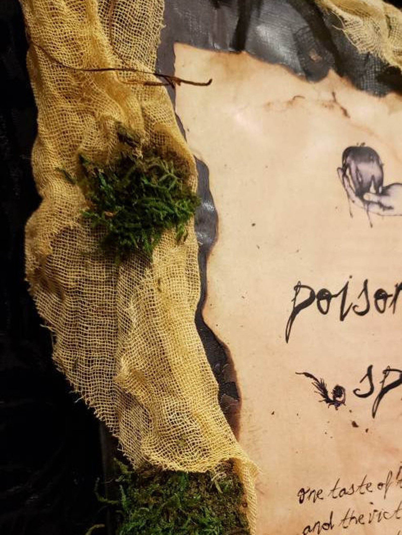 Sale Poison Apple Spell Book Snow White Evil Queen | Etsy